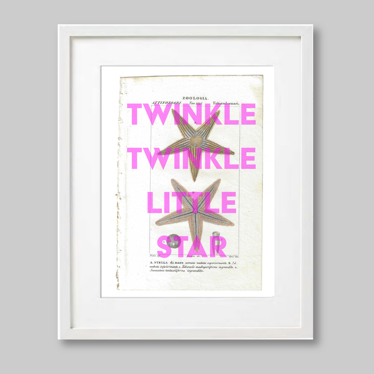 Twinkle Twinkle Little Star – Sophie Scott Designs